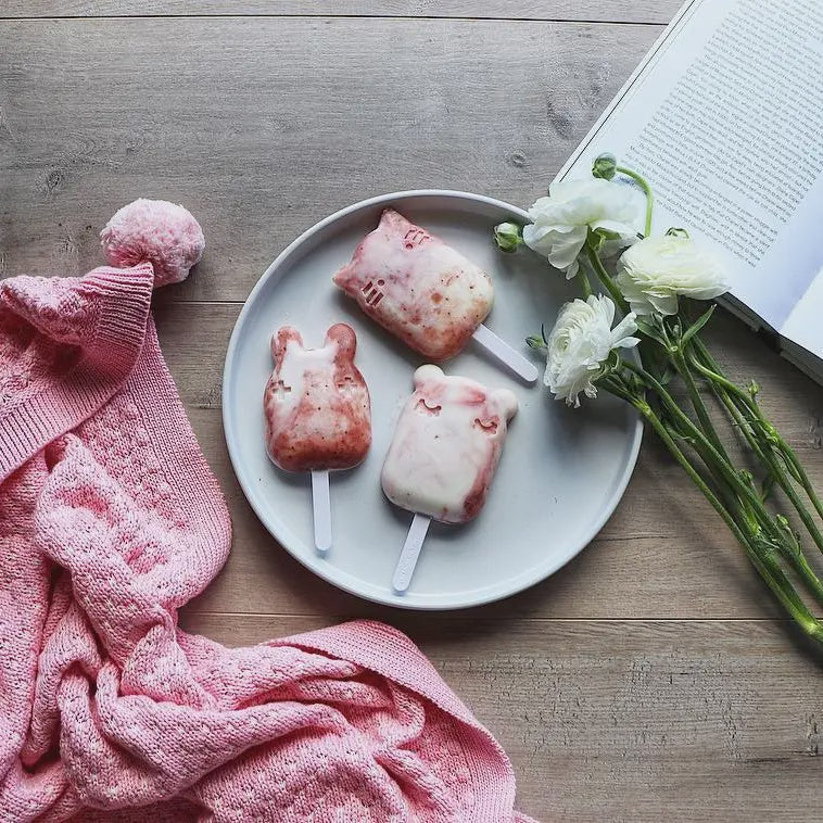 Icy pole replacement sticks | Set of 6 – Kuddly Kids