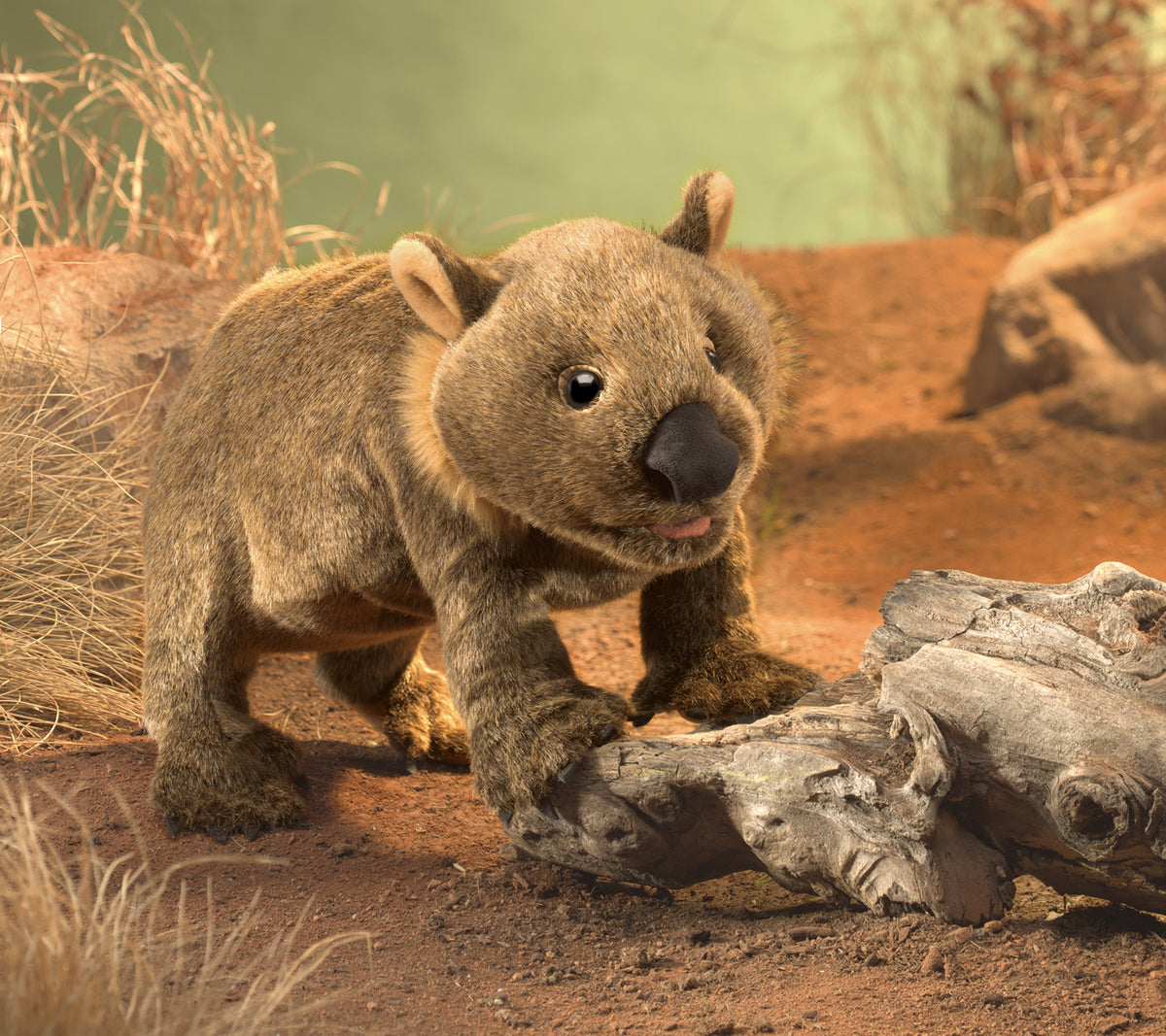 Puppet | Wombat – Kuddly Kids