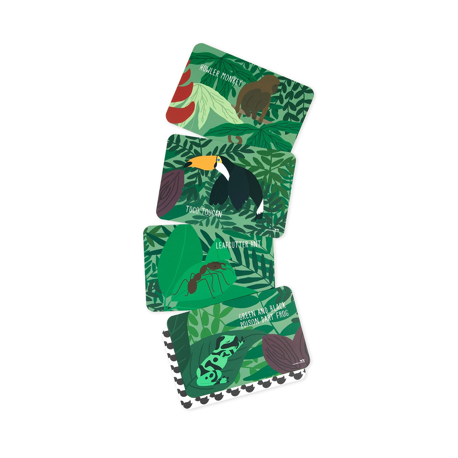 Jungle Adventure | Snap & Memory Cards – Kuddly Kids